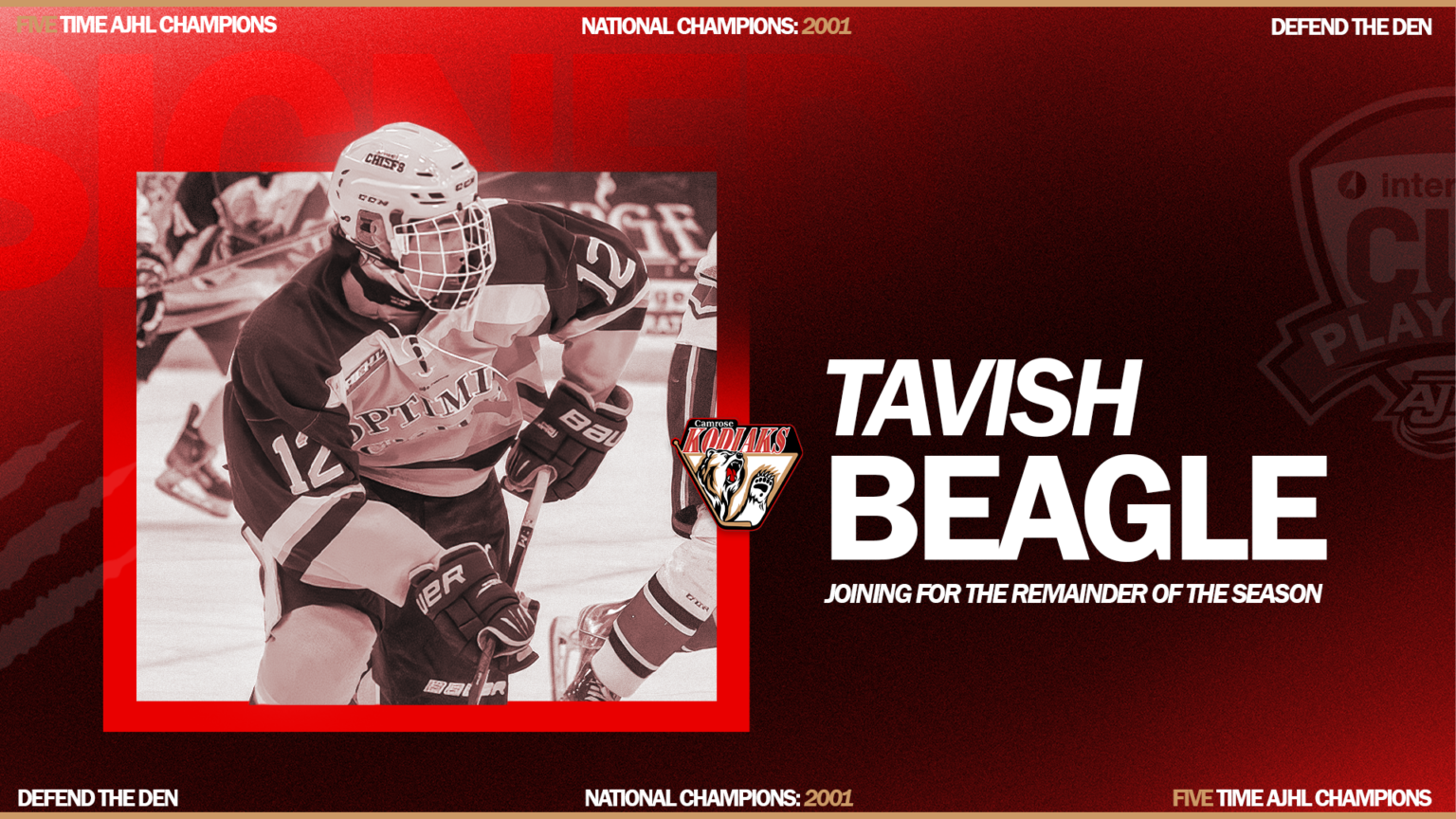 Kodiaks Add Tavish Beagle for the Remainder of the Season | Camrose Kodiaks